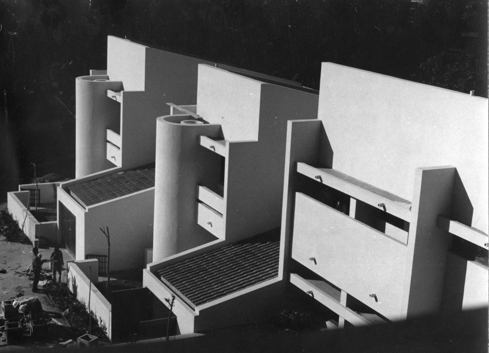 Pancho Guedes | Terra Velha